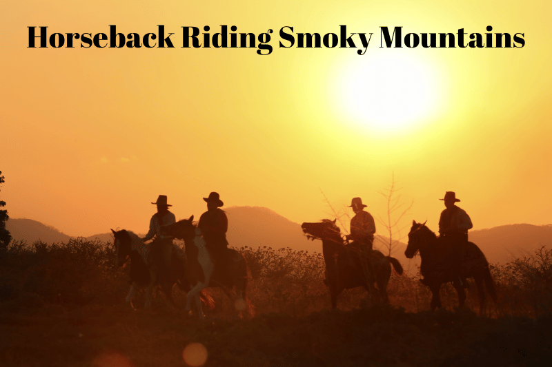 Horseback Riding in the Smoky Mountains Gatlinburg - Adventure Like a Boss
